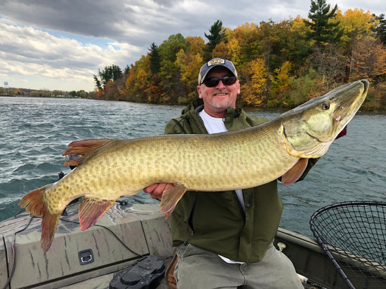 Lasso Lures